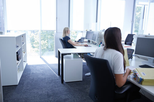 Career - HOFFMANN EITLE